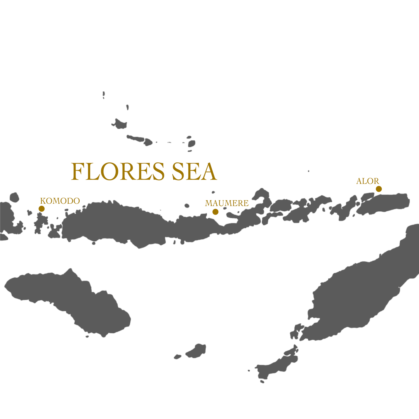 FLORES SEA - ARUNA FLEET